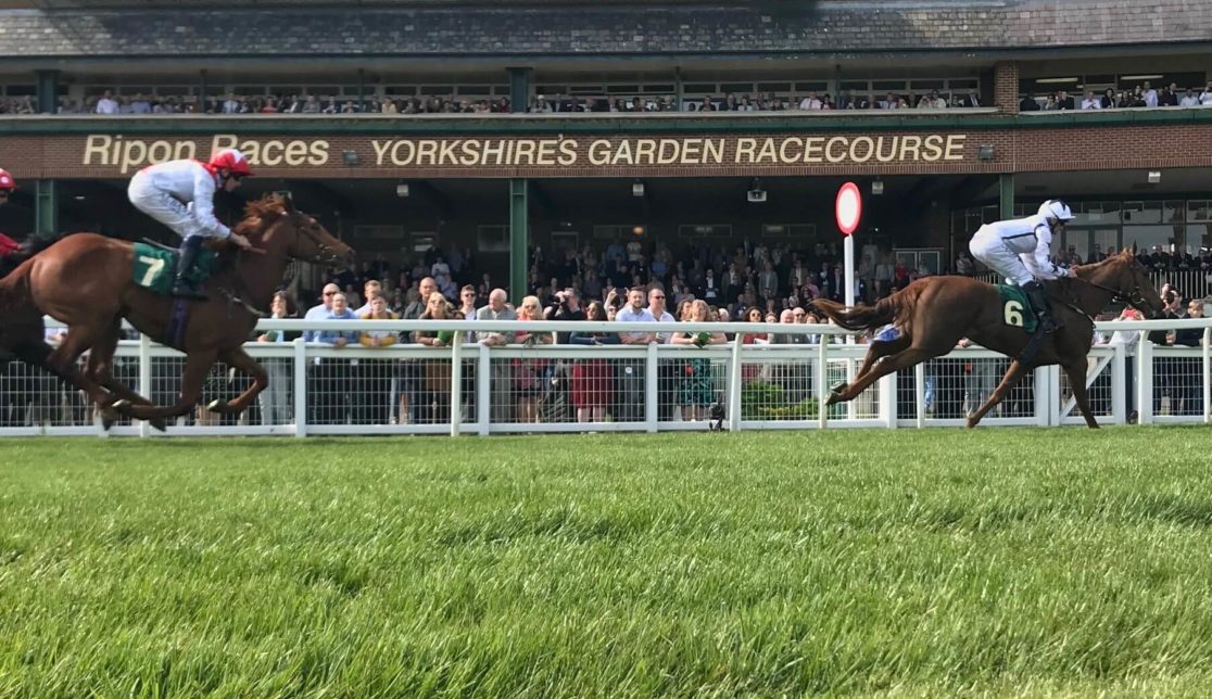 Ripon Races | Plan your perfect day out