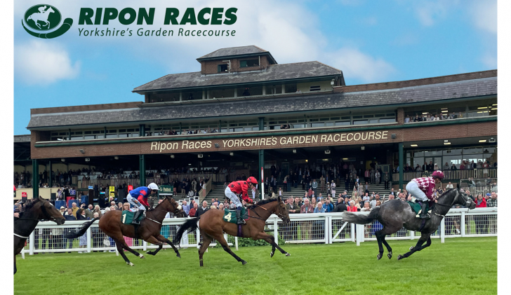 Ripon Races | Plan your perfect day out