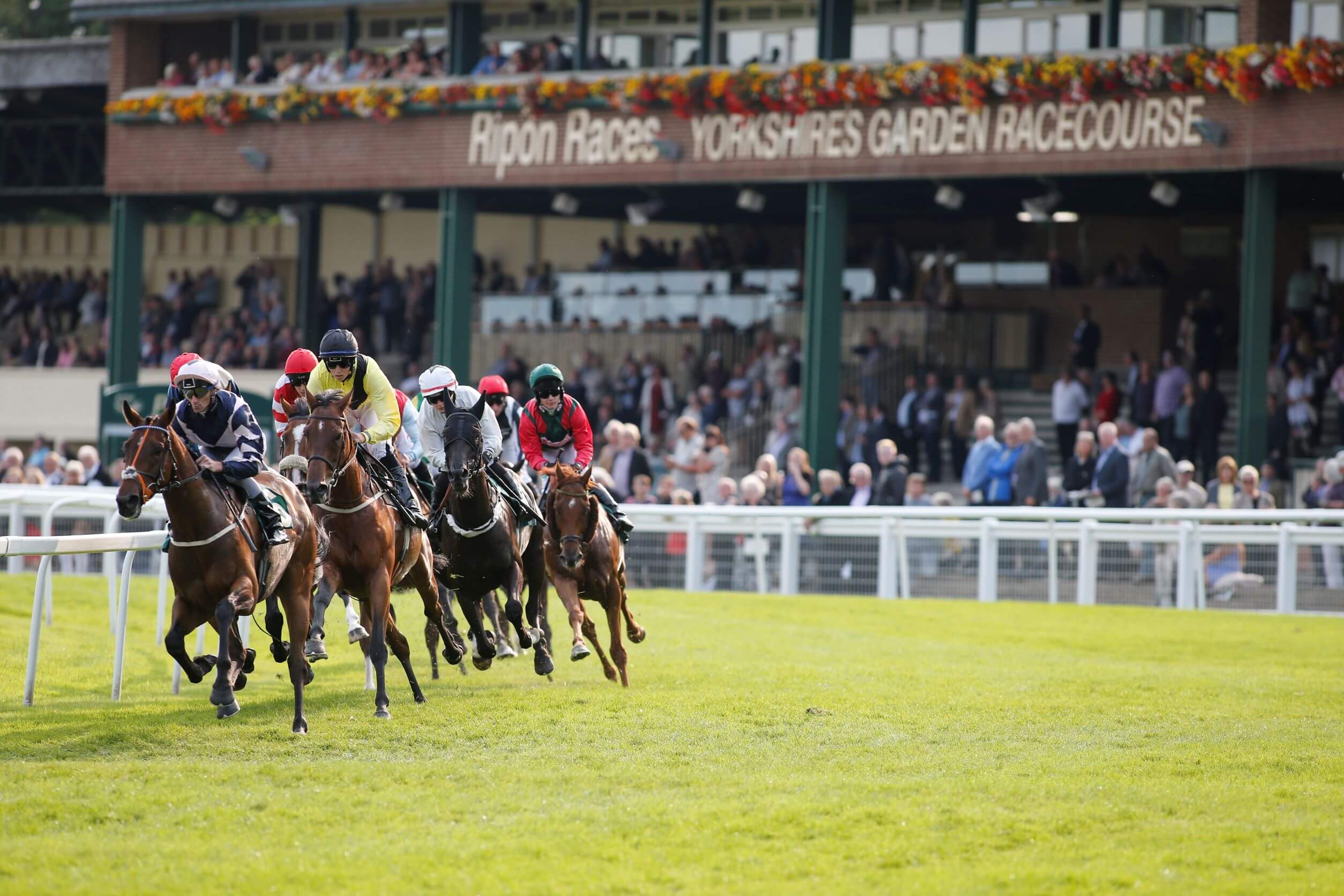 Ripon Races | Plan your perfect day out