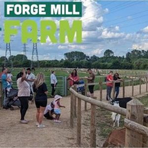 Forge Mill Farm | Plan your perfect day out
