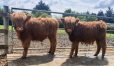 Old MacDonald's Farm & Fun Park | Plan your perfect day out
