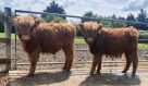 Old MacDonald's Farm & Fun Park | Plan your perfect day out