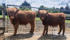 Old MacDonald's Farm & Fun Park | Plan your perfect day out