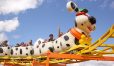 Old MacDonald's Farm & Fun Park | Plan your perfect day out