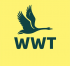 WWT Arundel Wetland Centre | Plan your perfect day out