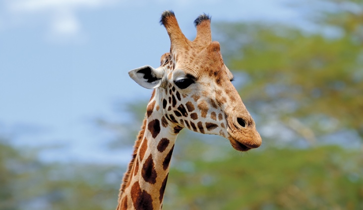 Banham Zoo | Plan your perfect day out