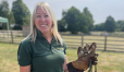 White Post Farm | Plan your perfect day out