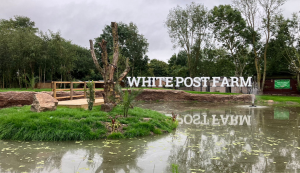 White Post Farm | Plan your perfect day out