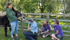 White Post Farm | Plan your perfect day out