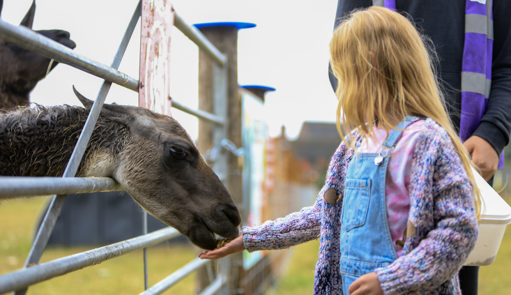 PLAY@ Lower Drayton Farm | Plan your perfect day out
